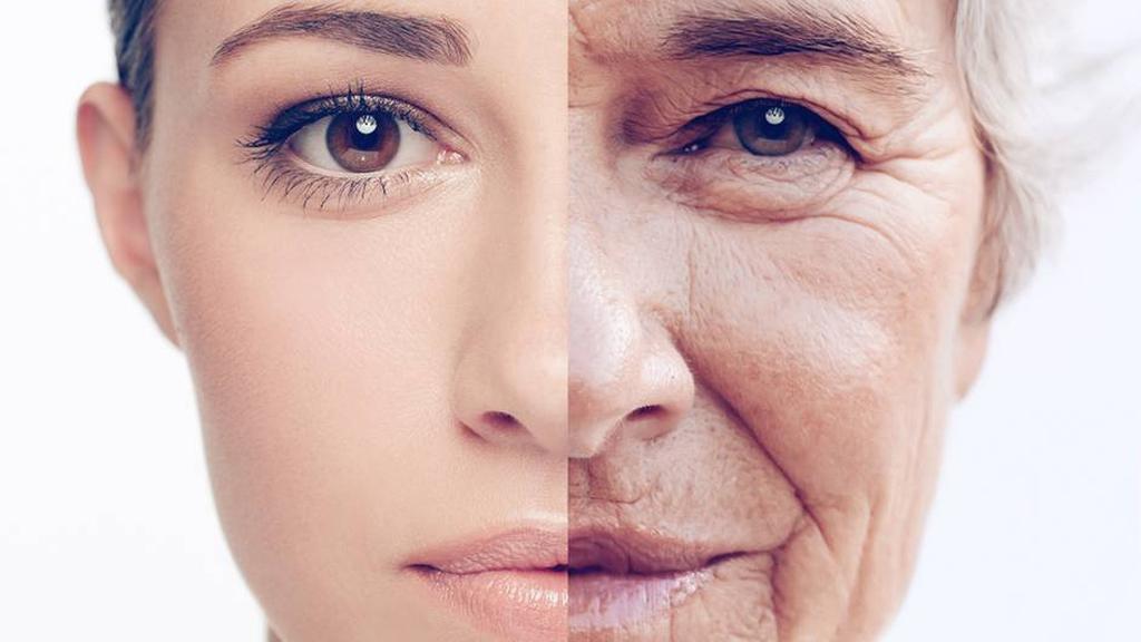 Wie funktioniert Altern - Wie-funktioniert.com