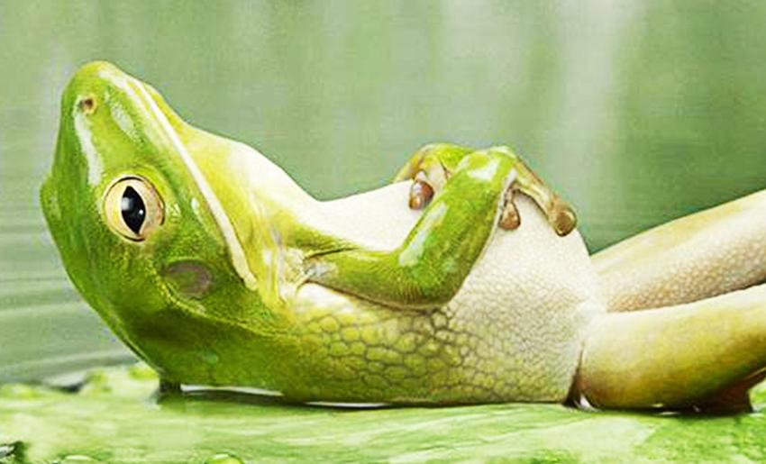 Wege zur Entspannung - Wie-funktioniert.com Wege zur Entspannung - Wie-funktioniert.com