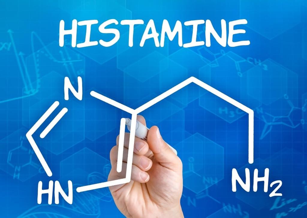 Was ist Histamin-Intoleranz? Was ist Histamin? - Wie-funktioniert.com