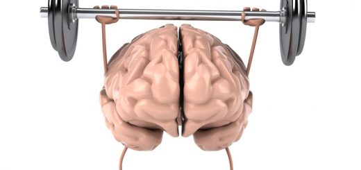 Vom Liger bis zum Wolphin: die spannendsten Hybrid-Tiere der Welt - Wie ...